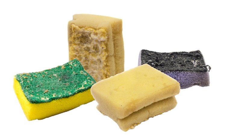 Dish sponge alternative without smell - Fischnetz With Benefits